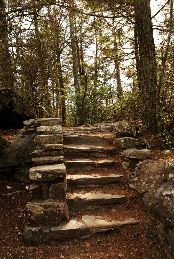 Stone Stair Steps in Nature Forest Stock Image - Image of staircase ...