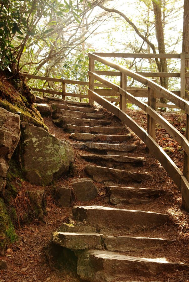 Stone Stair Steps in Nature Forest Stock Photo - Image of environment ...