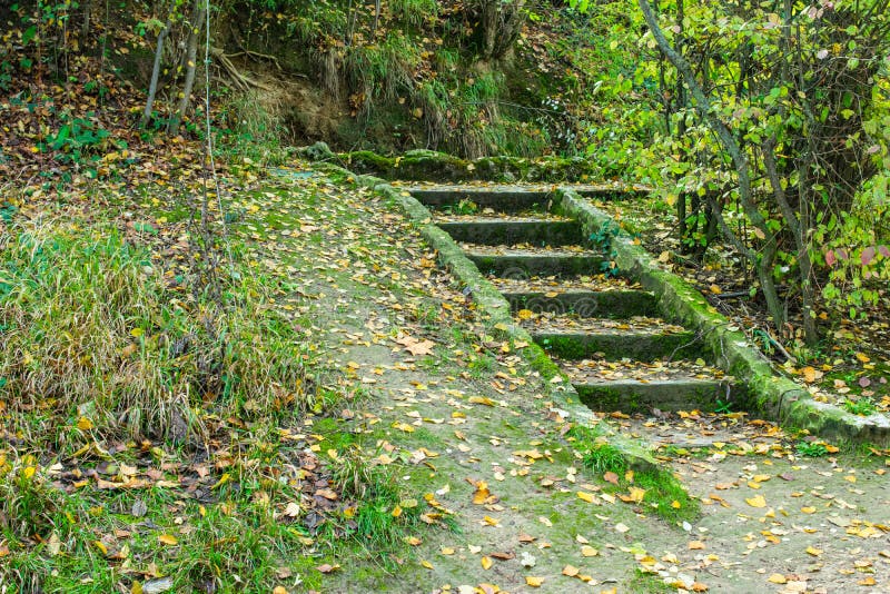 Stone Staircase in the Forest Covered with Dry Leaves Stock Image ... Stone Staircase in the Forest Covered with Dry Leaves Stock Image ...