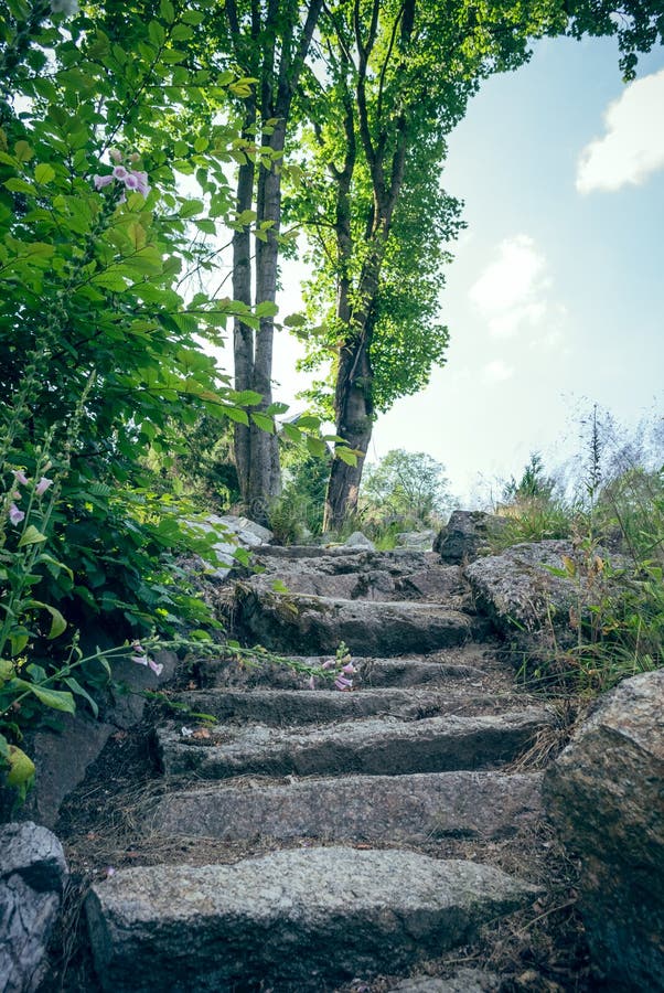 Stone stairs in the forest stock image. Image of exploration - 60134103