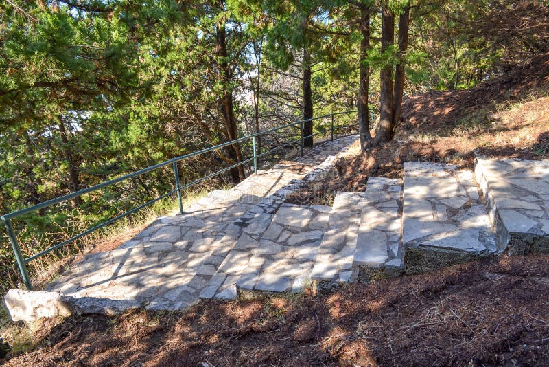 Stone Staircase in a Pine Forest. Sunlight Falls on the Stone Steps ...