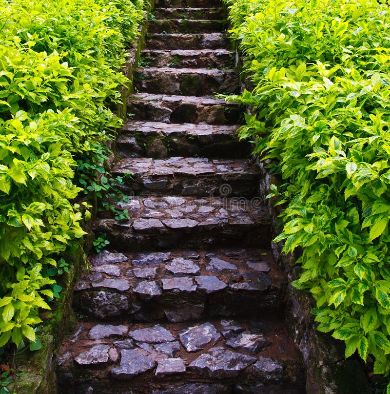 Stone stairs stock image. Image of countryside, fresh - 15311213