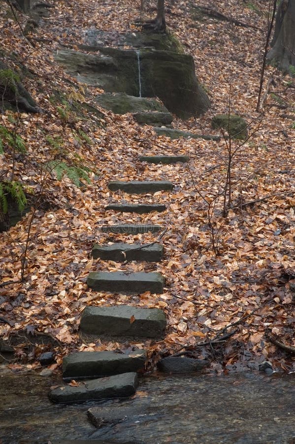 Stone Stairs stock image. Image of leaves, water, steps - 49781