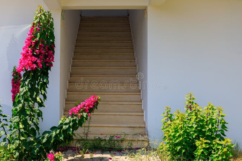 Stone Stairs of the Emergency Exit from the House. Background with Copy ...