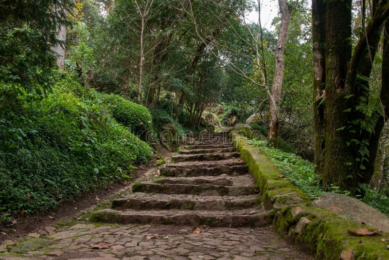 Stone Stairs in the Forest, Phetchabun, Thailand Stock Image - Image of ...