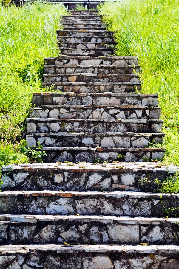 Stone stairs in grass stock photo. Image of garden, wood - 72796106