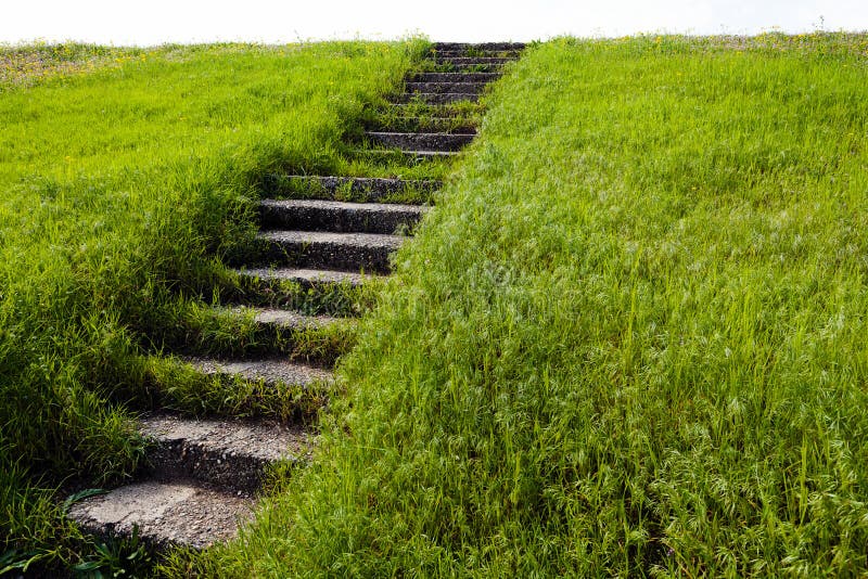 Stone stairs in grass stock photo. Image of steps, hill - 72797354