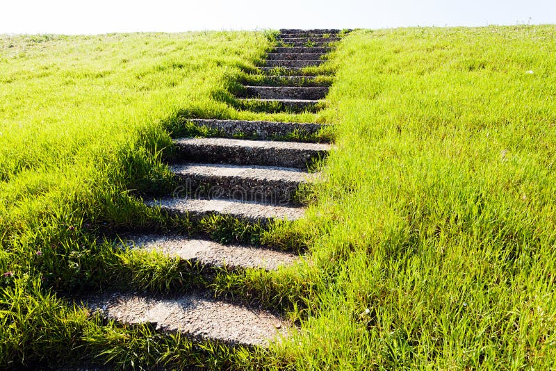 Stone stairs in grass stock photo. Image of plant, stone - 72836132