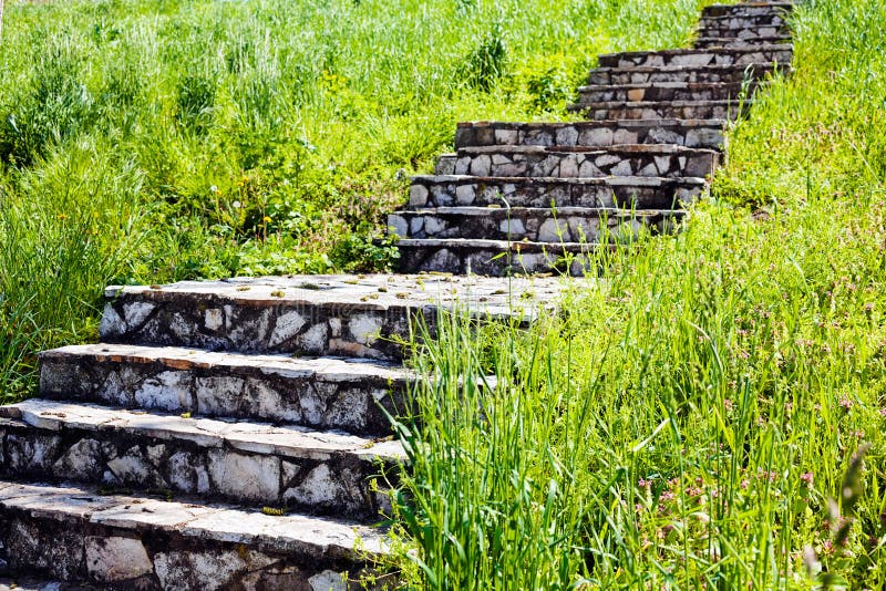 Stone stairs in grass stock photo. Image of walking, isolated - 72836784