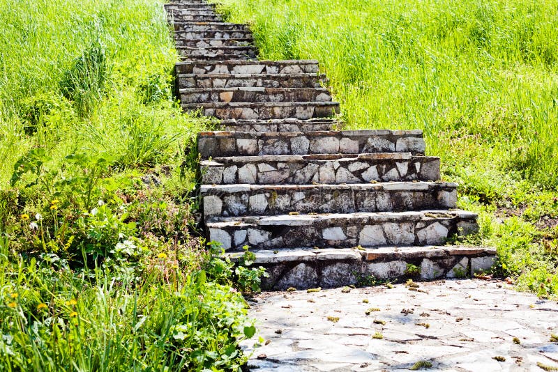 Stone stairs in grass stock photo. Image of move, path - 72835344