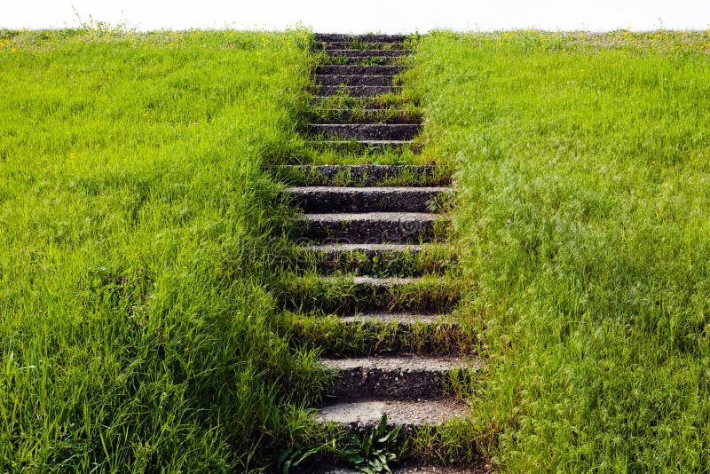 Stairway in the grass stock photo. Image of single, stairway - 72797134
