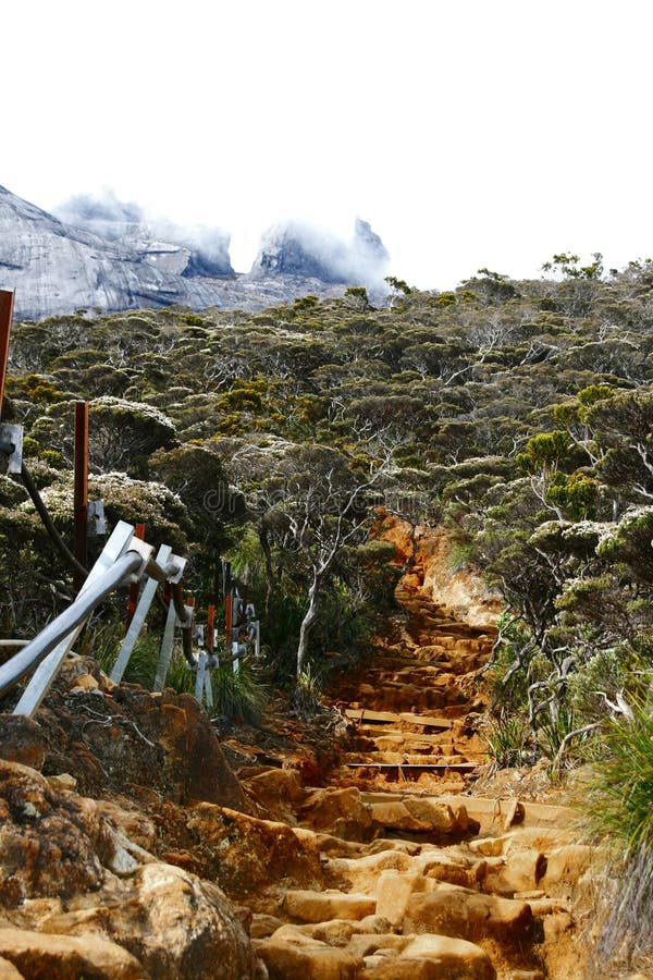 Stone Stairs of Kinabalu Trekking Trail Stock Photo - Image of trekking ...