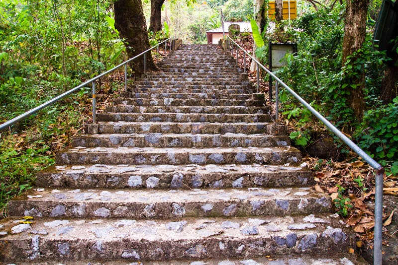 Stone stairs in park stock photo. Image of green, trail - 24109754
