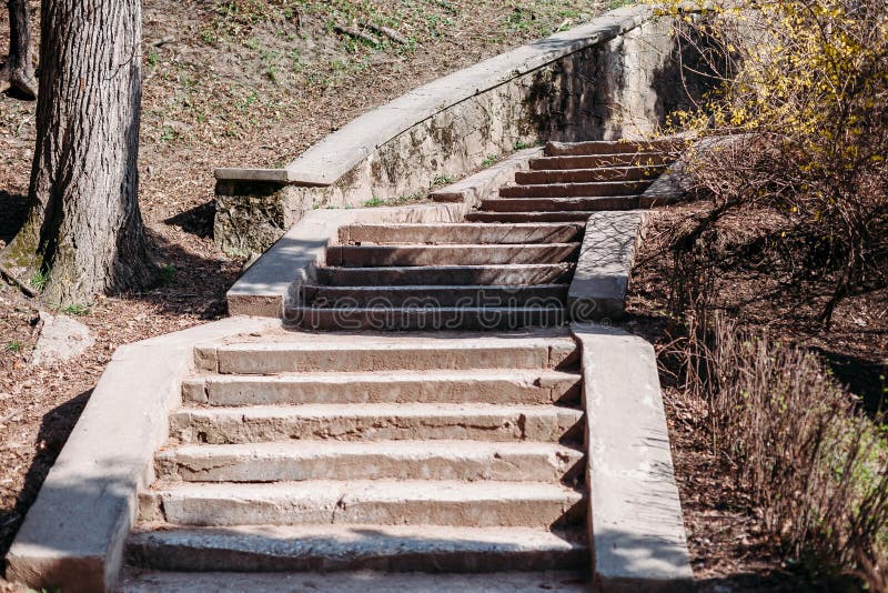 Stone stairs in Park stock photo. Image of foliage, stair - 141071880