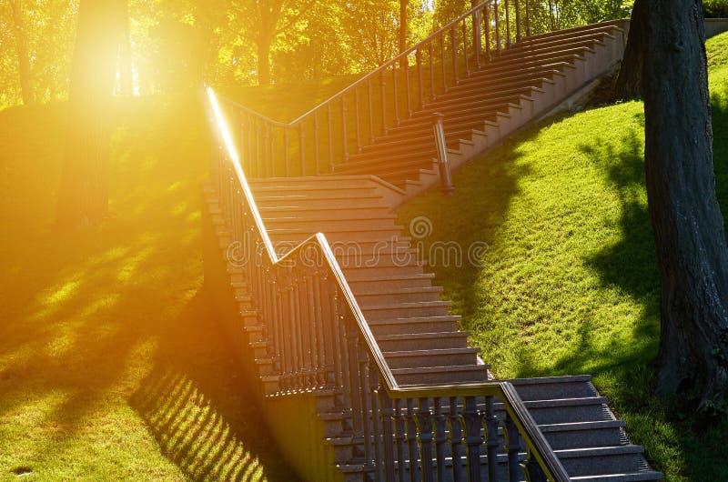 Stone Stairs in a Park Surrounded Plants with Sunlight. Stock Image ...