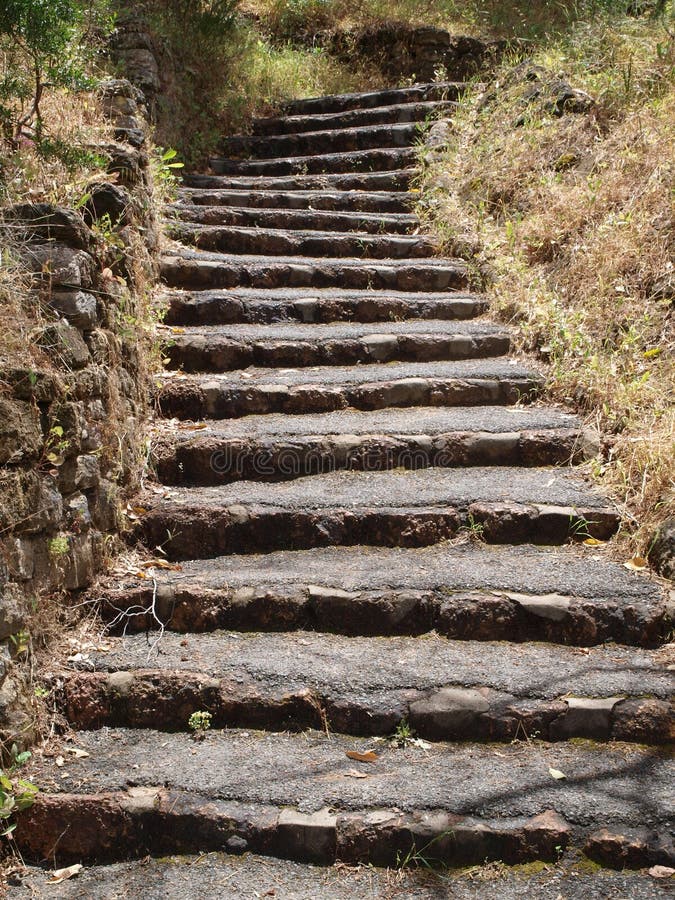 Stone stairs path stock photo. Image of forest, ladder - 29861644