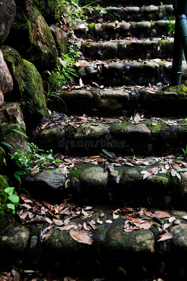 Stone stairs stock image. Image of field, leaves, peace - 32213811