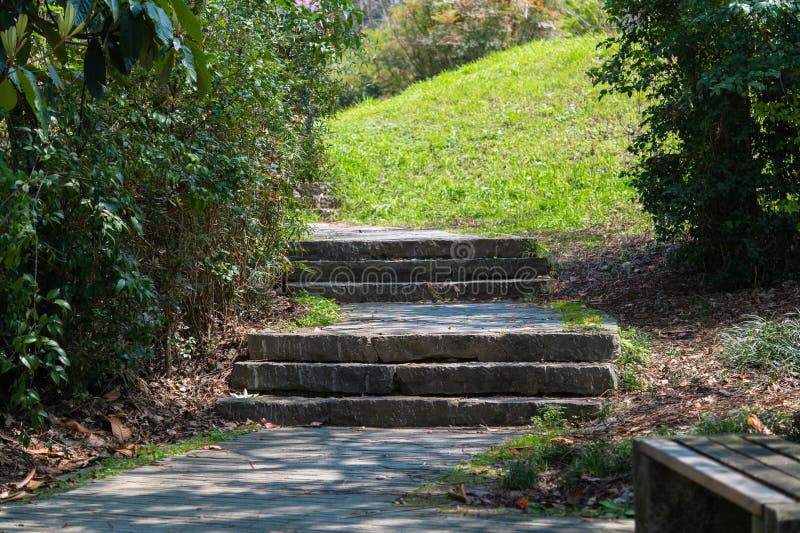 Stone stairs in spring stock photo. Image of beams, rain - 311783030