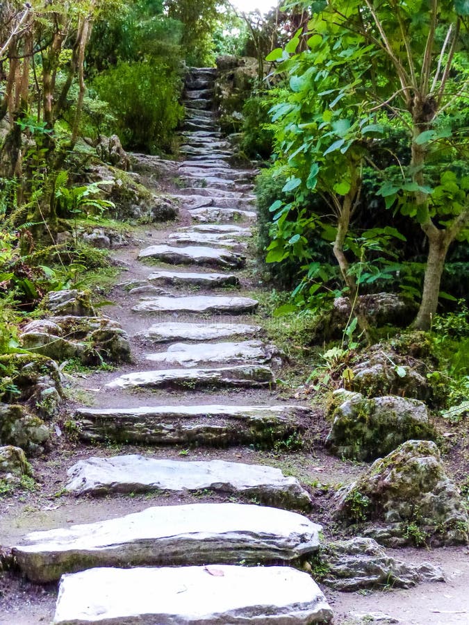 Mystical Stoned Path through Irish Forest Stock Photo - Image of ...