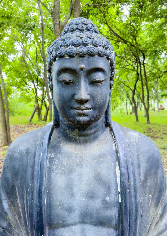 Buddha Statue in the Forest Stock Photo - Image of peaceful, natural ...