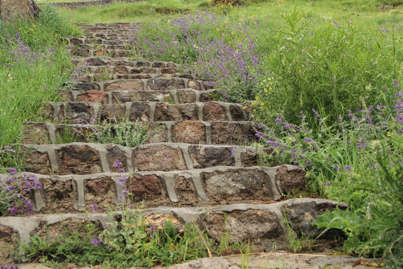 Stone step on green grass stock image. Image of outside - 41351427