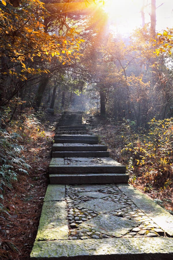 Stone step road in autumn stock photo. Image of leaf - 31592058