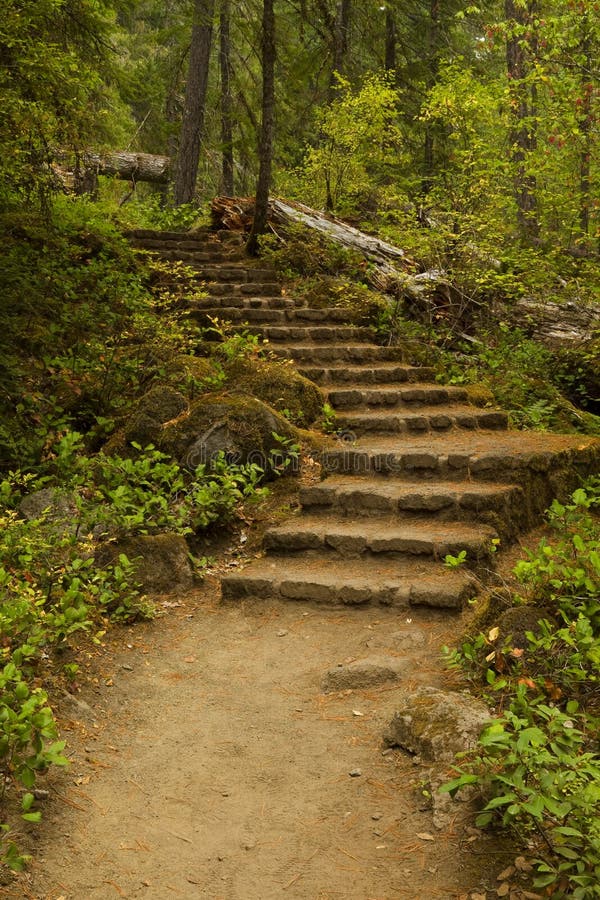 Mountain Steps stock image. Image of carolina, green, path - 141291
