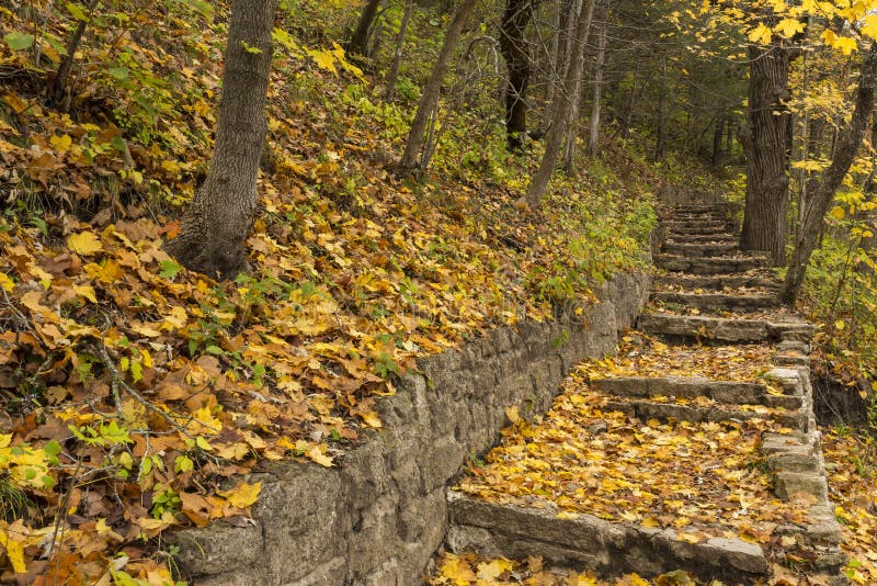 Stone Step Trail stock image. Image of woods, nature - 22260151