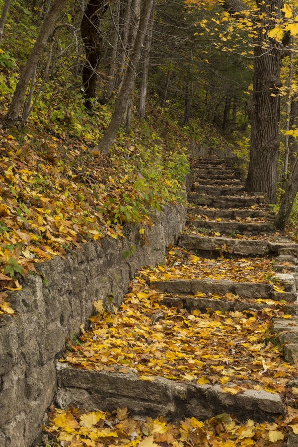 Stone Step Trail in Autumn stock photo. Image of walkway - 45787298