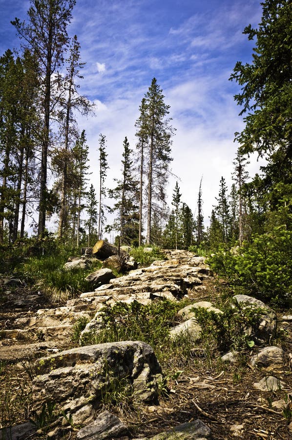 Stone steps stock image. Image of stone, rock, steps - 26506641