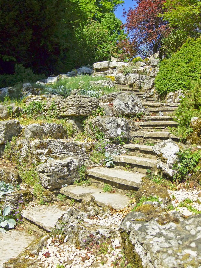 Stone Steps stock photo. Image of trees, lichen, outside - 93290946