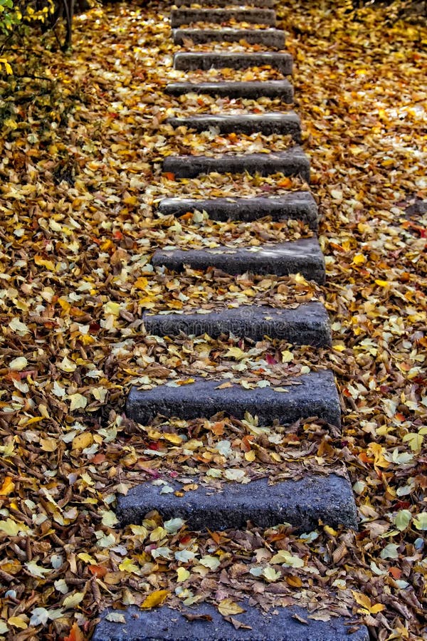 Stone Steps in Autumn stock image. Image of steps, leaves - 21945889