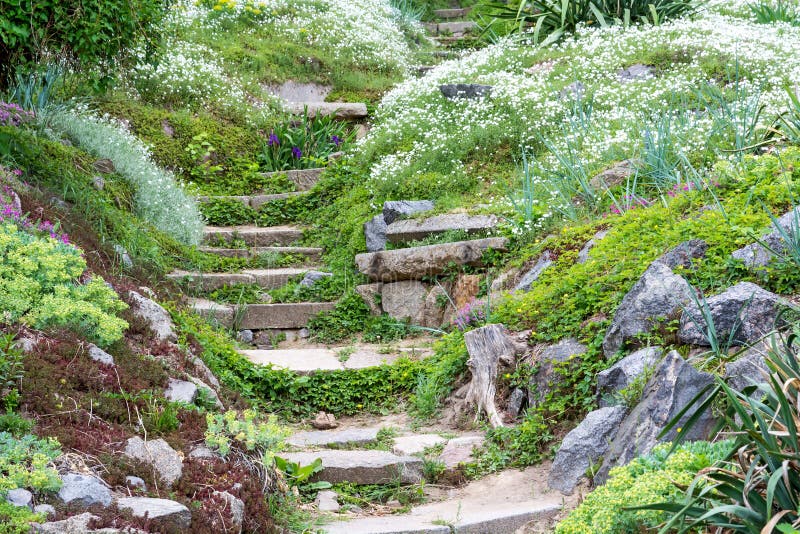 Stone Steps and Beautiful Flowers. Stock Image - Image of path ...