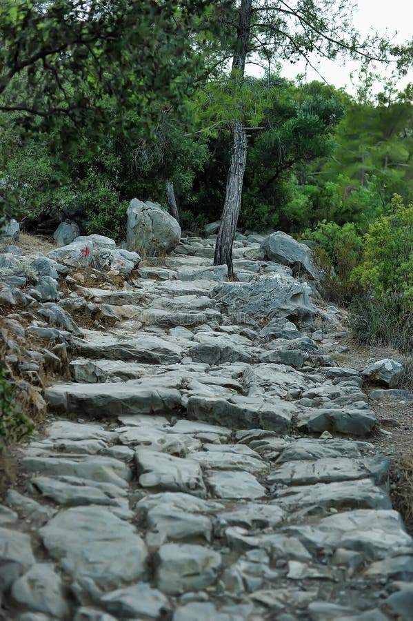 Rustic Rock Steps Stock Photos - Download 305 Royalty Free Photos