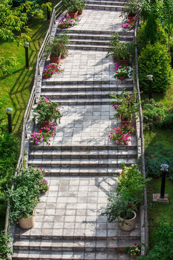 Stone steps with flowers stock photo. Image of leaf, house - 74762066