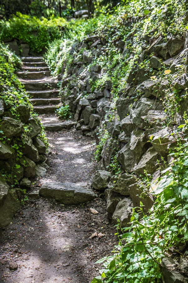 Stone steps and footpath stock photo. Image of shrub - 203384930