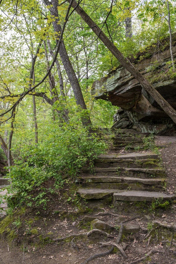 Stone Steps in Forest stock image. Image of path, steps - 80805289