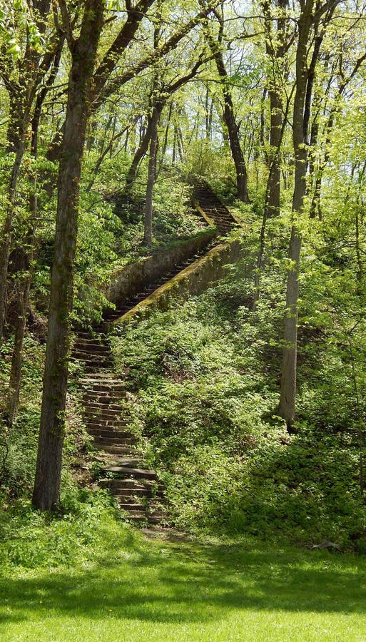 Stone Steps stock image. Image of seasonal, grass, foliage - 43470423