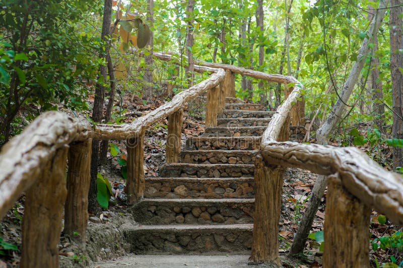 Stone Steps in the Forest with Sunlight. Stock Photo - Image of hiking ...