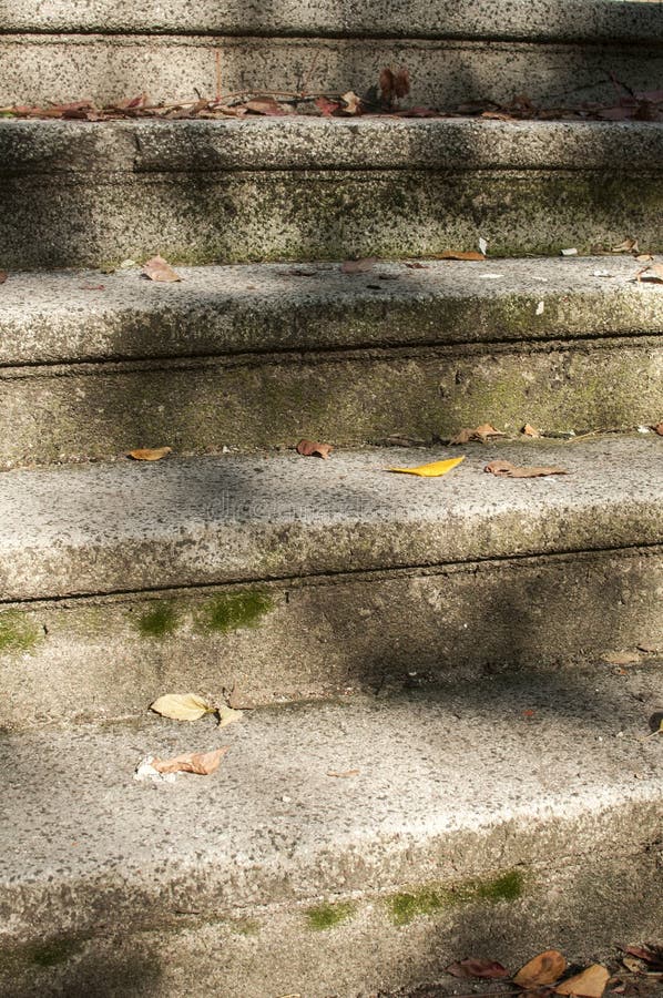 Stone Steps in Front of Old House Stock Photo - Image of stair, outdoor ...