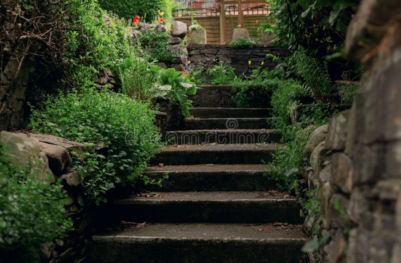 Steps in green plants stock photo. Image of residential - 246989834