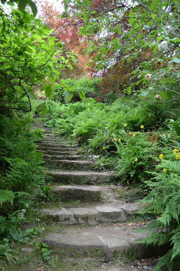 Stone Steps in a Landscaped Garden. Stock Image - Image of pretty ...
