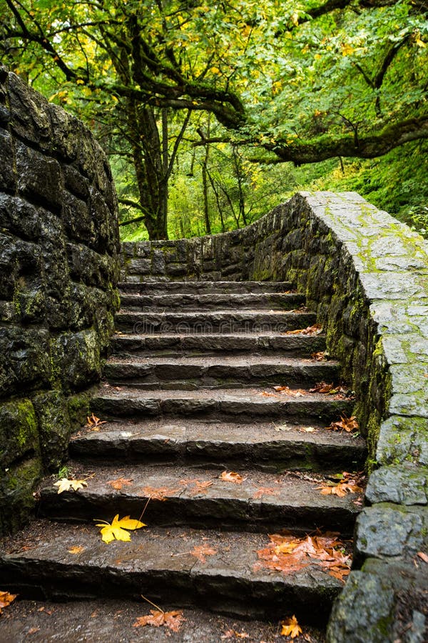 A Trail And Stone Steps In The Park Stock Image - Image of outdoor ...
