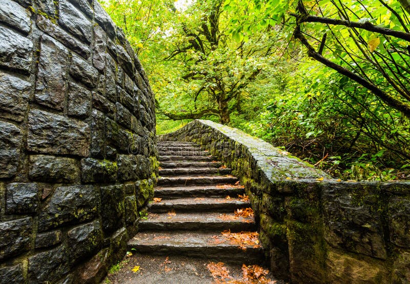 Stone Steps Leading into a Forest Trail Stock Photo - Image of color ...
