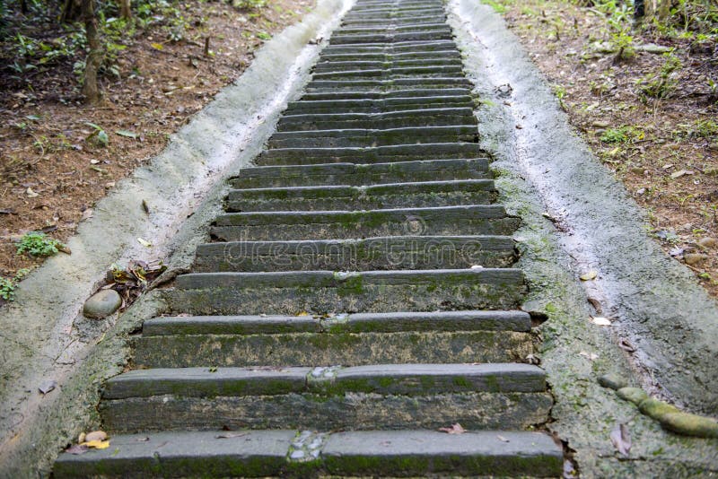 Stone Steps Leading Up a Hill Stock Photo - Image of plant, green: 69975714