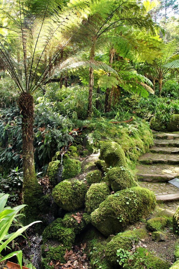 Stone Steps in the Lush Garden Stock Image - Image of countryside ...