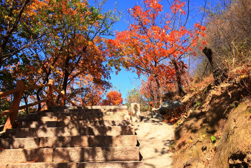 Stone Steps of the Mountain Stock Image - Image of stair, high: 176811739