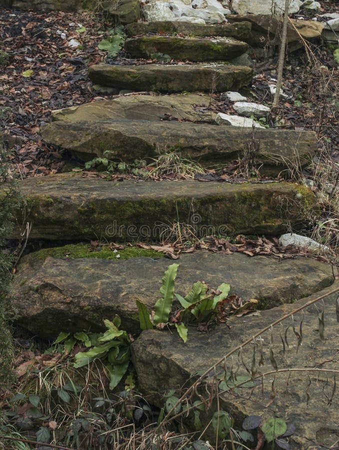 Stone steps stock image. Image of garden, staircase - 355459153