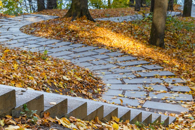 Stone Steps in the Parks Shot Close-up Stock Image - Image of stone ...