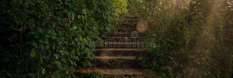Stone Steps Soft Sunset Light Lush Greenery Staircase Stock Photos ...